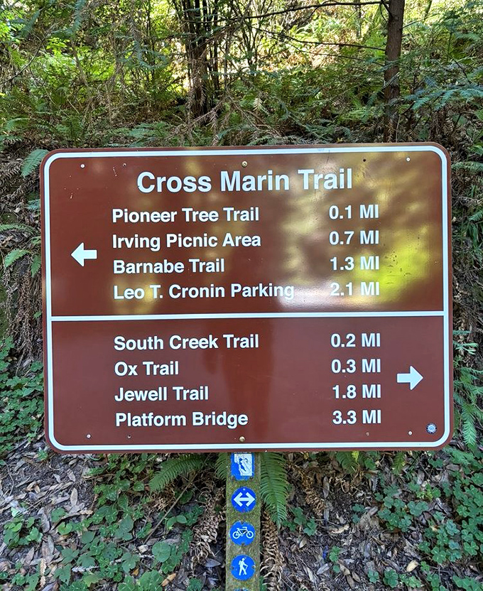 Trail markers that eliminate the "are we there yet?" question with mathematical precision. Nature with a side of exactitude.