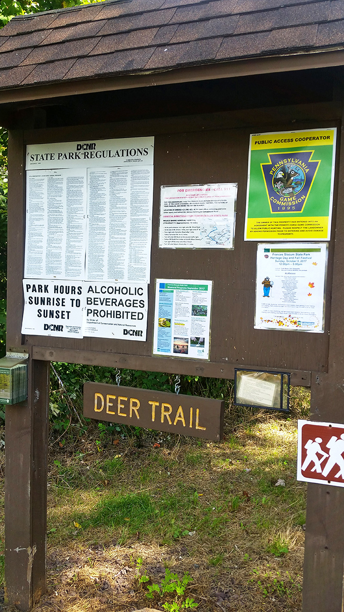 Trail information boards: where park rules meet wilderness adventure. The "sunrise to sunset" hours remind us that nature keeps its own perfect schedule.