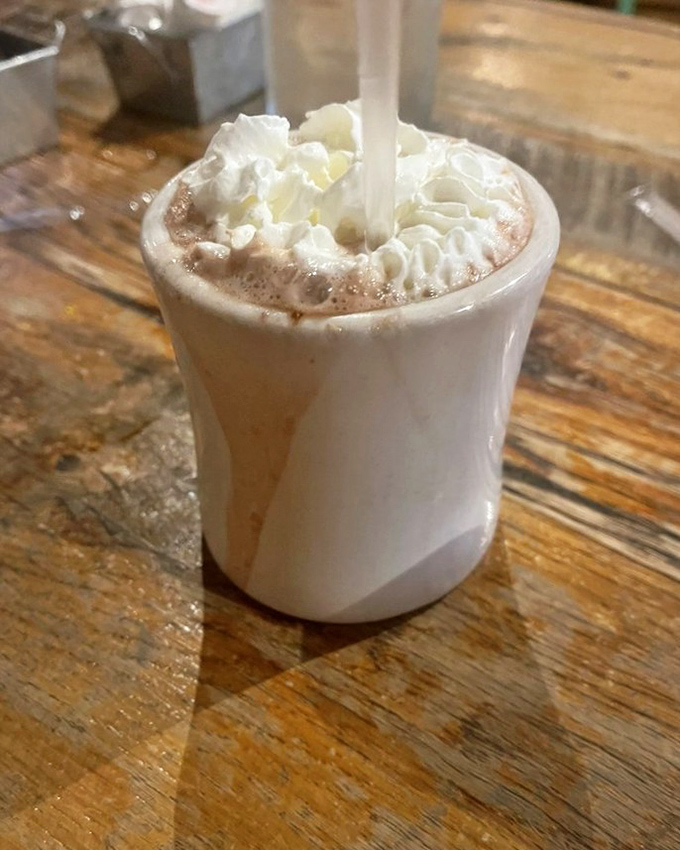 Hot chocolate that understands its mission isn't just to warm your hands, but to create a whipped cream mustache you'll wear with pride.