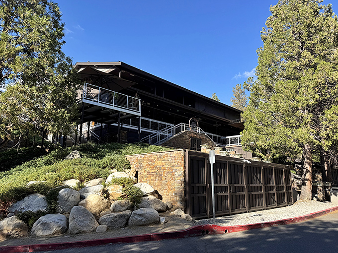 The Idyllwild Brewpub brings modern mountain architecture to craft beer. Those massive windows frame forest views that pair perfectly with IPAs.