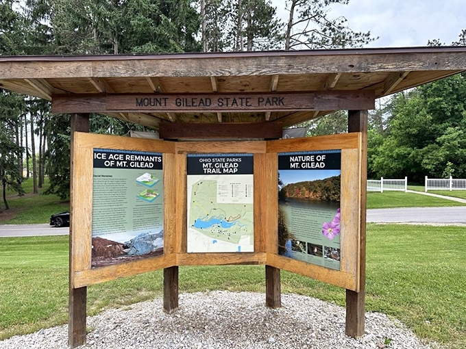 Information boards that actually make you want to learn something instead of scrolling past.