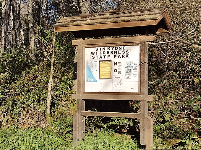 The least Instagram-worthy photo might be your most valuable. This humble sign marks the gateway to authentic wilderness.