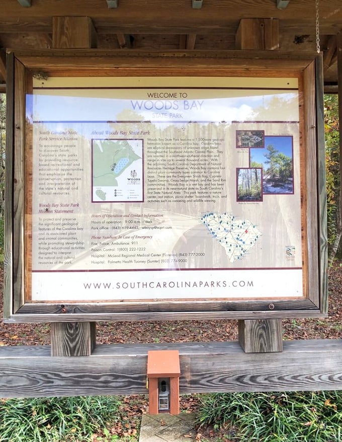 Knowledge is power - this information board reveals the secrets and science behind Woods Bay's unique ecosystem.