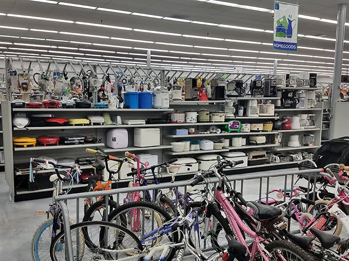 Another angle of this thrifting paradise, where every corner promises another "I can't believe I found this!"