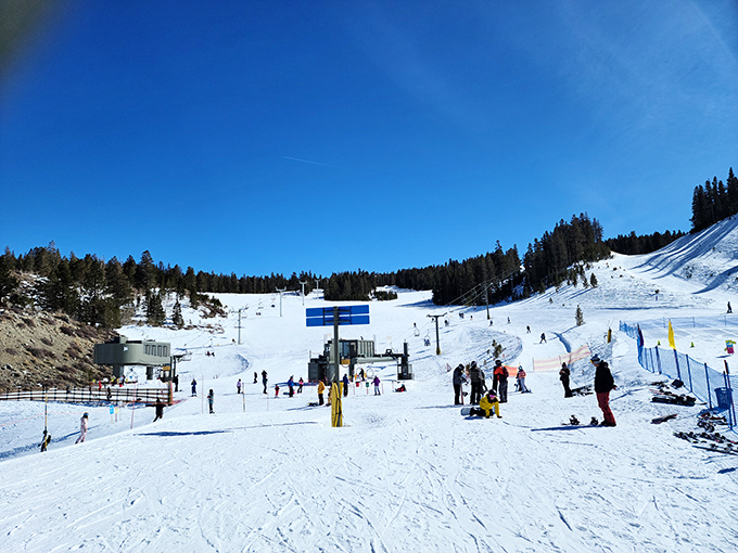 Blue skies, white slopes, and zero pretension&mdash;June Mountain might be California's best-kept secret for powder enthusiasts and families alike.