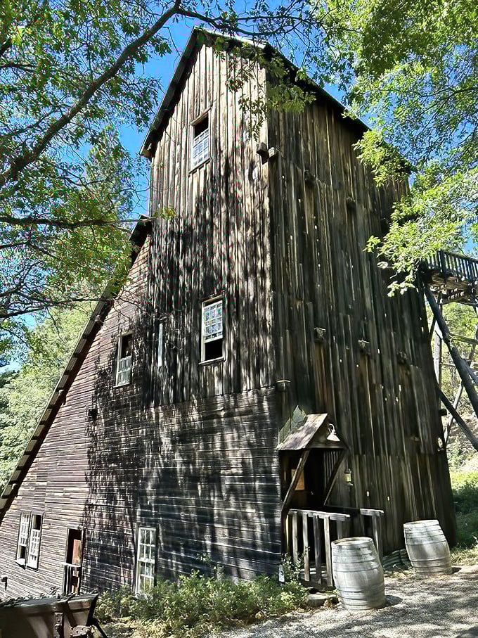 The Kentucky Mine Museum – where you can experience Gold Rush history without the dysentery, claim-jumping, or 19th-century dental care.