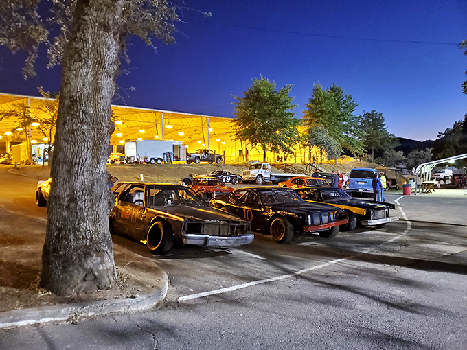 The fairgrounds come alive after dark with demolition derby action, where perfectly good cars meet their gloriously noisy end.