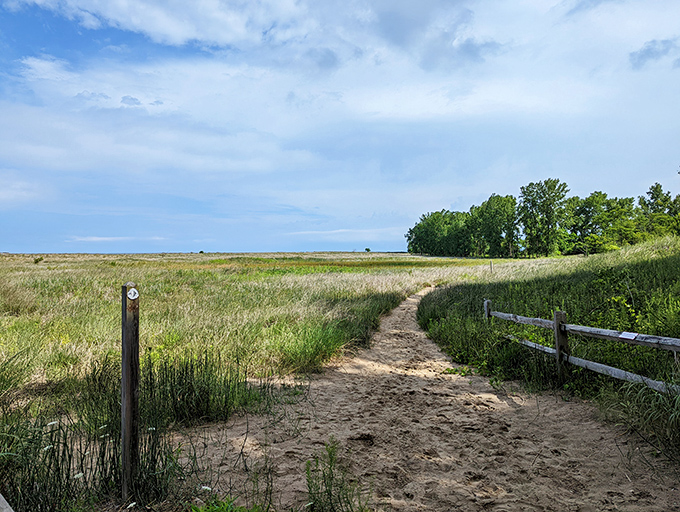 Wander this trail through coastal prairie and you'll find yourself in that sweet spot between wilderness adventure and leisurely stroll.