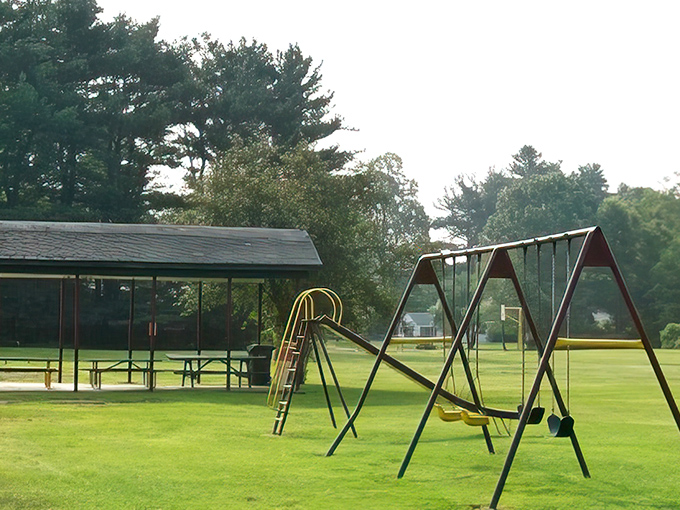 Longway Park's swings invite both the young and young-at-heart to experience the simple joy of defying gravity for free.