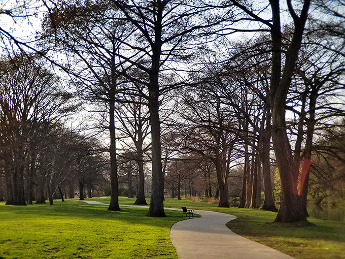 Walking paths wind through winter trees like nature's meditation maze, inviting visitors to slow down and breathe deeply between holiday chaos.