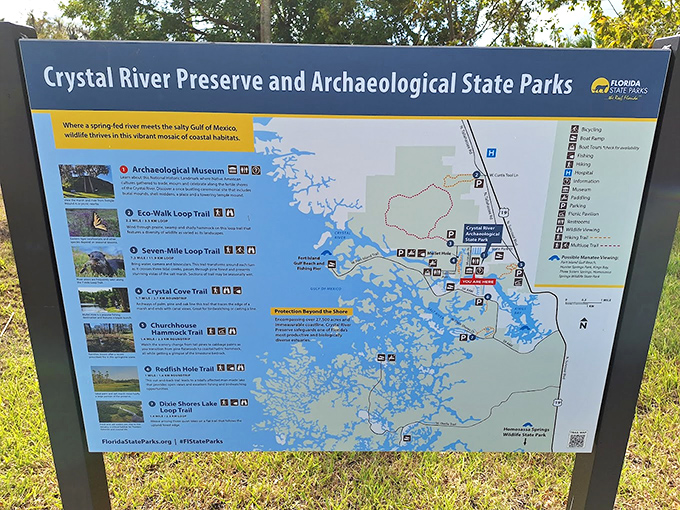 Your treasure map to time travel &ndash; no "X marks the spot," just clearly marked paths to the past.