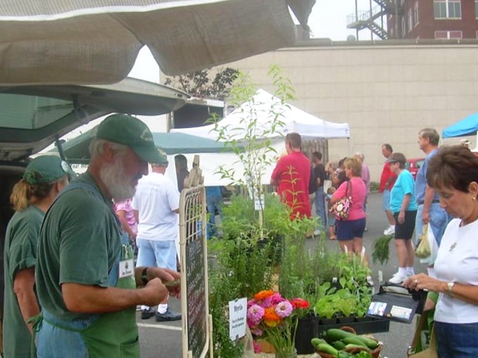 Maryville's farmers market transforms parking lots into community living rooms where the currency is conversation and tomatoes are judged like fine art.