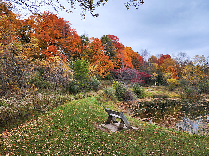 Maywood's fall colors create nature's perfect meditation spot&mdash;a bench by the pond where minutes stretch into hours of peaceful contemplation.