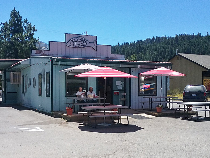 Mill Creek Fish 'N Chips proves good seafood doesn't require an ocean view&mdash;just fresh ingredients and the kind of no-nonsense preparation that lets quality shine.