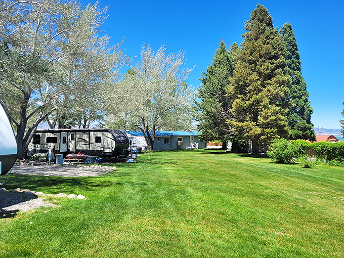 Mono Vista RV Park offers grassy spaces where "roughing it" still comes with emerald lawns and shade trees &ndash; camping with a civilized twist.