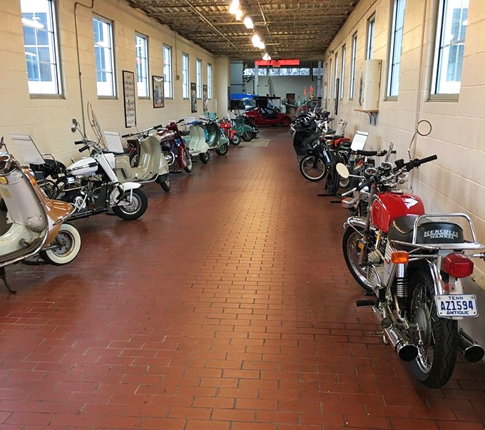 A corridor of vintage motorcycles and scooters stands in formation, ready for an imaginary parade. Two-wheeled treasures from simpler times.