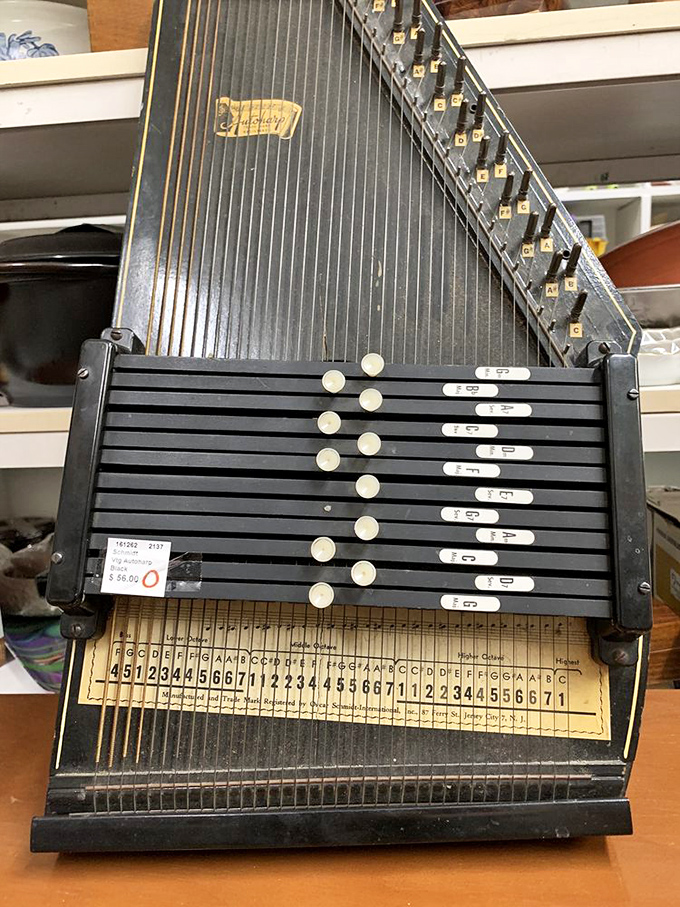 Musical instruments waiting for their comeback tour &ndash; who knows what songs these have played?