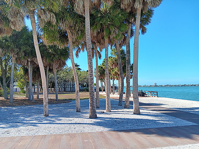 Nora Patterson Bay Island Park's palm-lined shore proves that sometimes the simplest landscapes create the most profound peace &ndash; Florida's version of meditation.