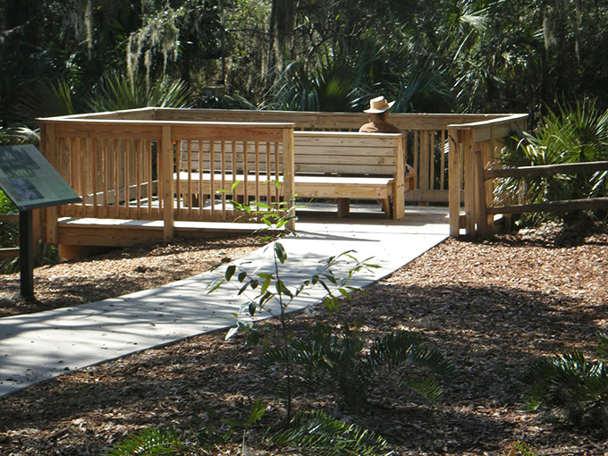 The perfect perch for wildlife watching and pretending you're a nature documentary narrator.