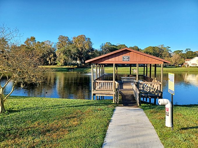 This charming lakeside dock invites contemplation, fishing, or simply watching the ripples while pondering life's big questions&mdash;or absolutely nothing at all.