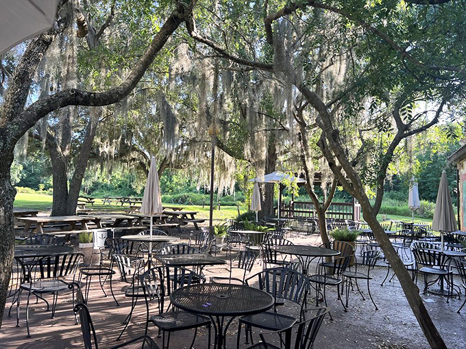 Outdoor seating under Spanish moss creates the perfect setting for savoring authentic German cuisine peacefully.