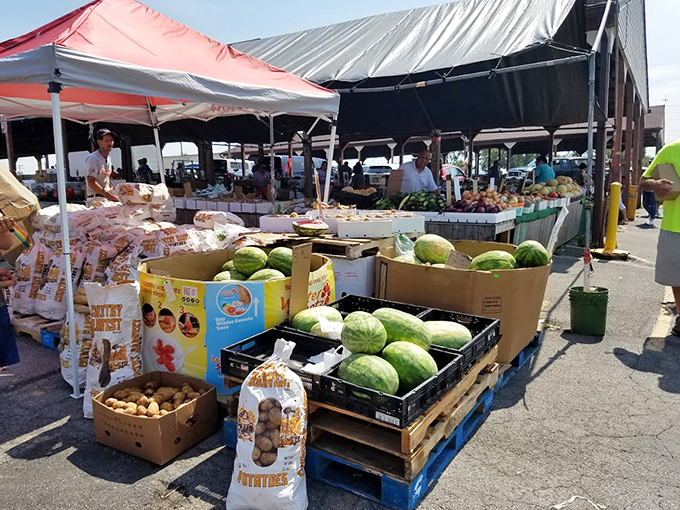 Summer bounty in full glory! Watermelons, potatoes, and other fresh produce create a cornucopia of options for health-conscious bargain hunters.
