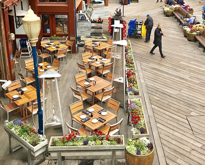 Outdoor tables surrounded by colorful flower boxes create seafood sanctuaries where every meal feels like a special occasion.