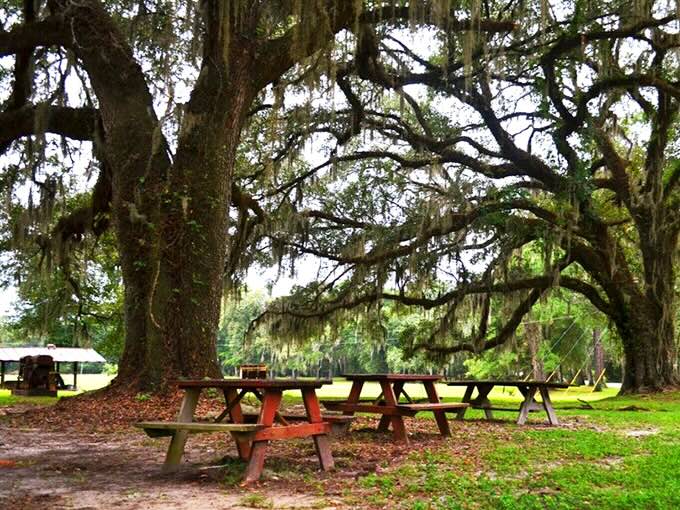 Shaded picnic tables under ancient oaks create the perfect spot for outdoor dining bliss.