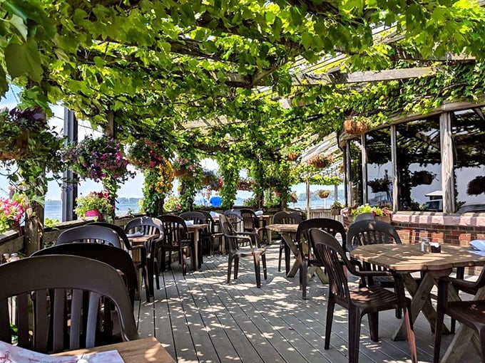 Dappled sunlight filtering through grape leaves creates nature's most perfect dining canopy. These tables have better views than most waterfront condos.