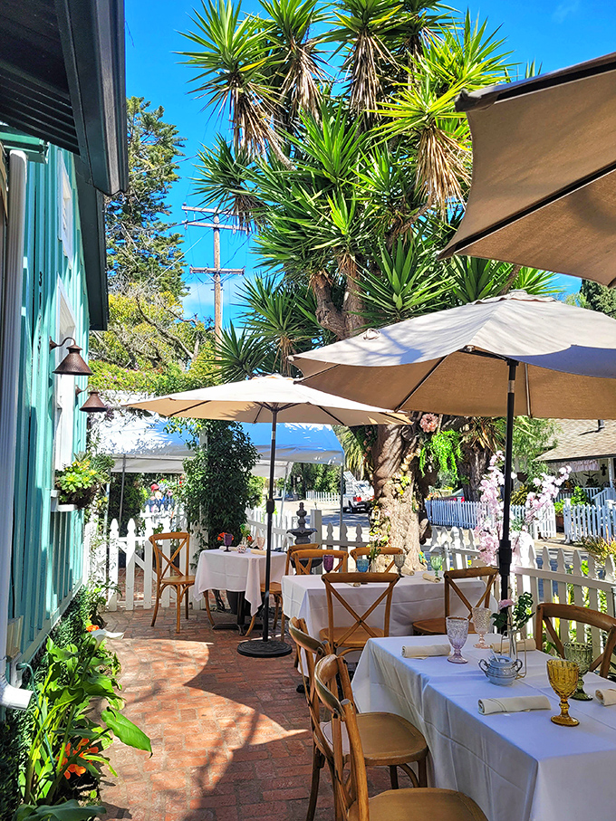 Outdoor dining under palm trees and market umbrellas—because California sunshine makes everything taste better, especially scones.