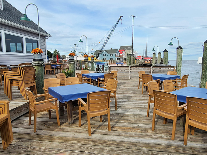 Waterfront dining that reminds you why people pay millions for views like this, but you only need to pay for lunch.