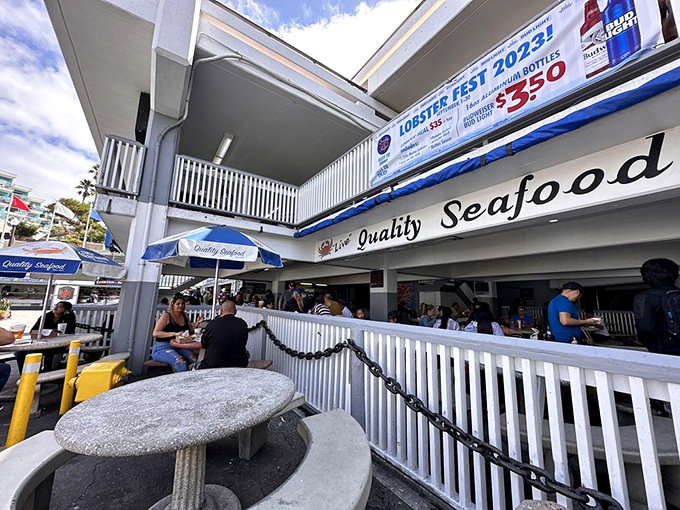 The perfect California seafood experience: blue skies, ocean breezes, and tables full of happy eaters enjoying the fruits of the sea at Quality Seafood.