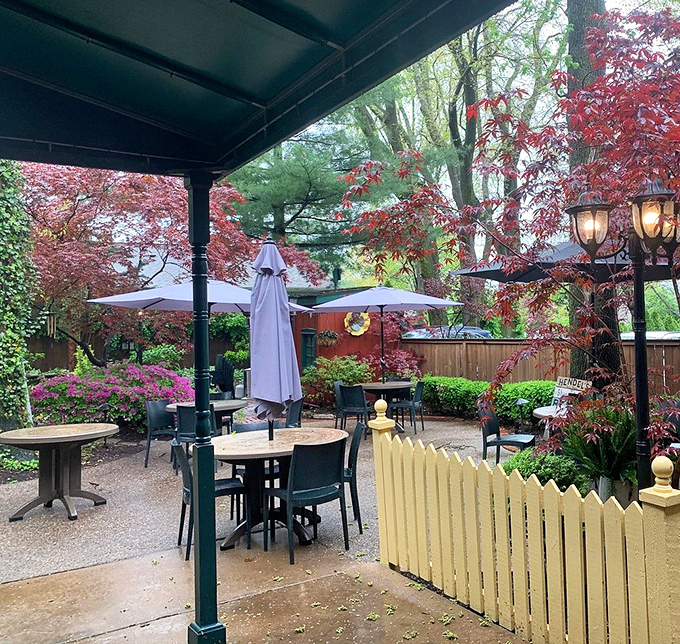 Spring explodes in technicolor around the patio, where tables await beneath umbrellas and Japanese maples provide nature's finest artwork.