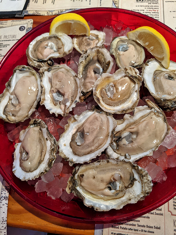 Fresh Gulf oysters on the half shell &ndash; briny treasures that taste like the ocean's best-kept secrets.