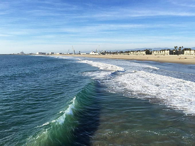 The perfect wave curls toward shore in a moment of oceanic perfection. This is the California dream that Beach Boys songs promised us decades ago.