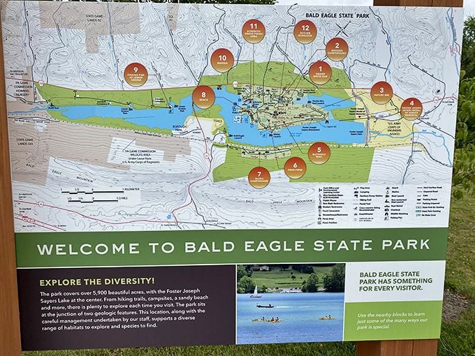 The park map reveals Bald Eagle's secrets &ndash; a treasure map where X marks every spot worth visiting, and they're all worth visiting.