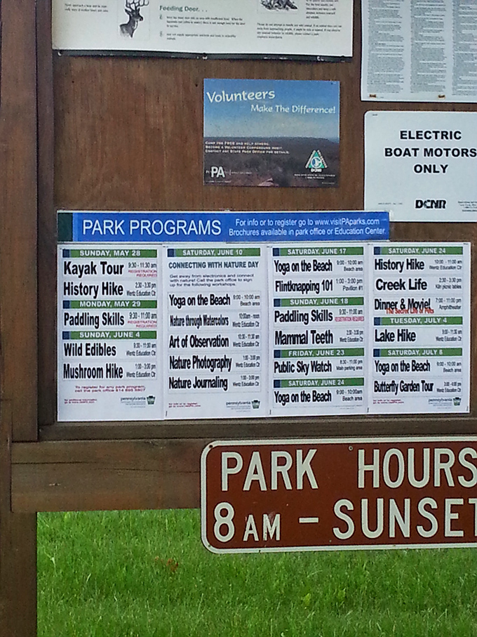 Programs that beat anything on your streaming services. From "Yoga on the Beach" to "Flintknapping 101," the park's calendar puts your weekend plans to shame.