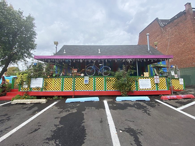 A parking lot that tells stories through license plates from three different states daily.