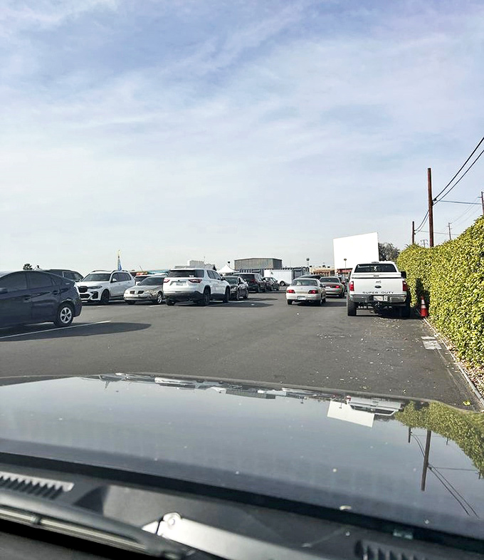 The parking lot—final resting place of morning enthusiasm and first testing ground for whether those new purchases will fit in your trunk.