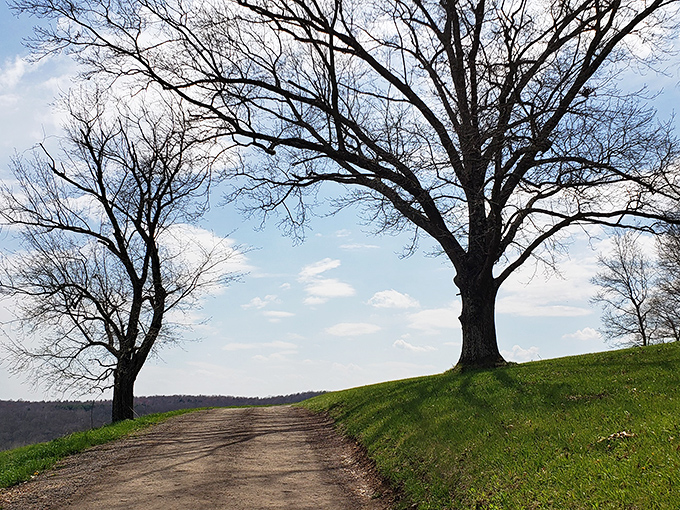 The road less traveled sometimes leads to the best views. Robert Frost would approve of this detour.