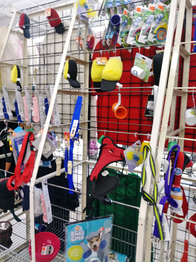 Even Fido gets the discount treatment with a menagerie of pet accessories that prove your dog doesn't need to know you only spent $2 on his new leash.