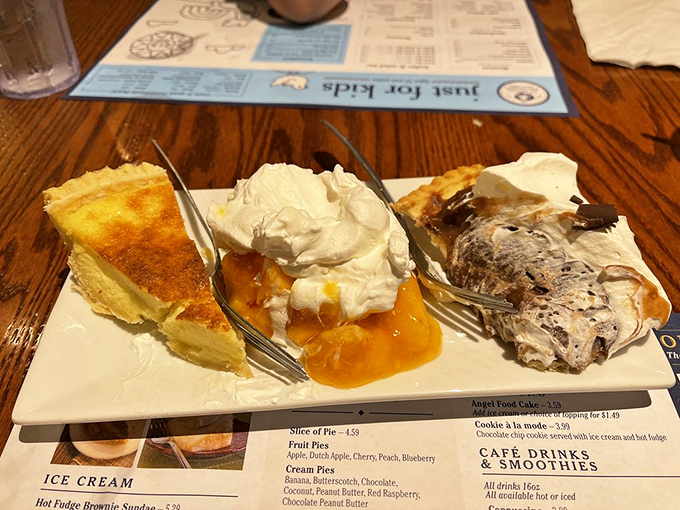 Three slices of pie that represent the holy trinity of dessert perfection. When choosing between them becomes impossible, "one of each" becomes the only rational answer.