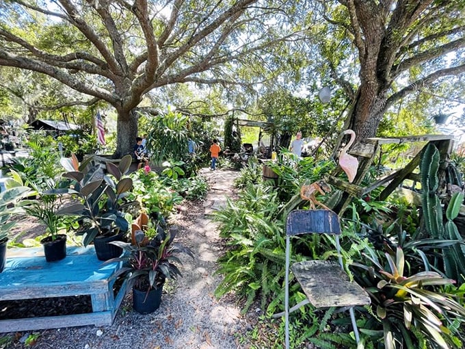 A garden center where Florida's lush greenery tempts plant parents. That fiddle leaf fig might just fit in your trunk!