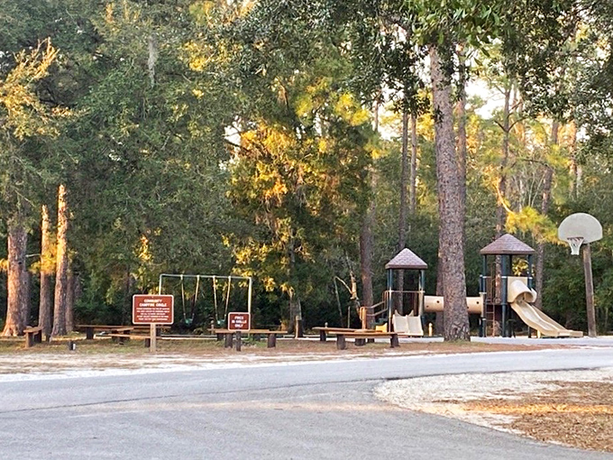 Family fun areas where kids can burn energy before the peaceful trail adventures.