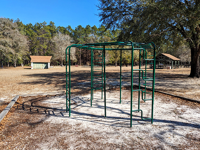 This playground might look simple, but to kids burning off energy after a hike, it's the perfect intermission in a day of outdoor adventure.