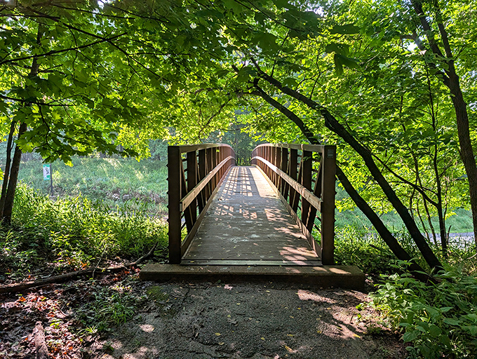 Powder Valley's wooden bridge invites you to cross over into a world where deadlines don't exist and birdsong replaces notification sounds.