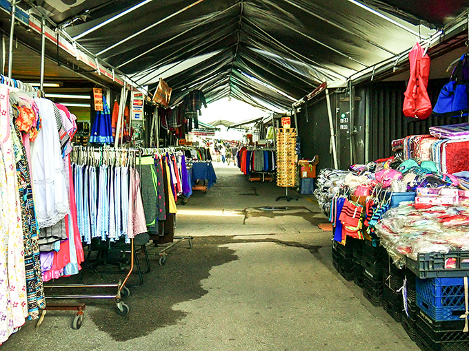 The organized chaos of commerce, where every aisle promises discoveries and your shopping list becomes merely a suggestion.