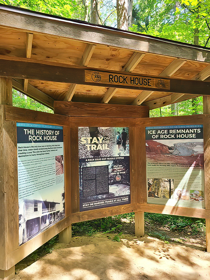 Nature's classroom awaits beneath a simple wooden shelter. The best education doesn't always require walls, just curiosity and comfortable shoes.