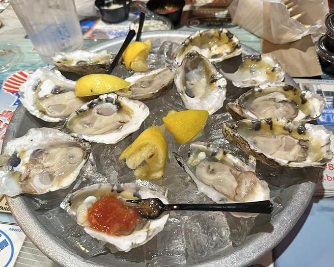 Raw oysters on the half shell—nature's perfect appetizer, requiring nothing more than a squeeze of lemon and a moment of appreciation.