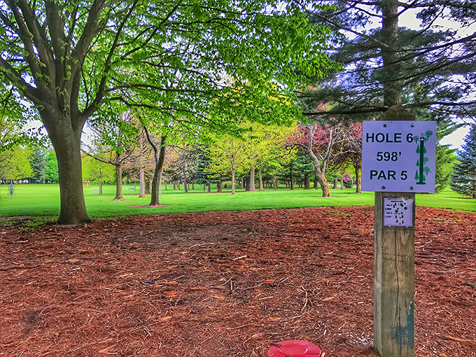 Disc golf: the sport that lets you pretend you're exercising while actually just enjoying a walk in the park. Nature with a competitive edge.